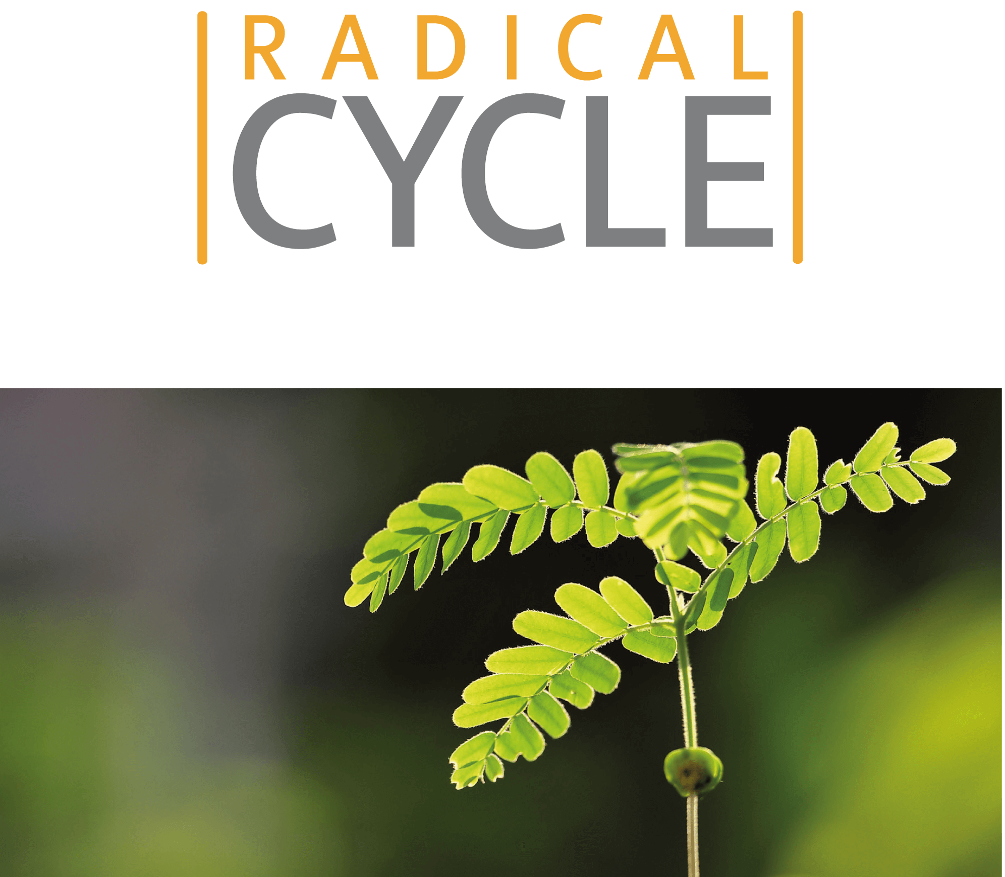 Advanced program in Sophrology - Caycedo Institute